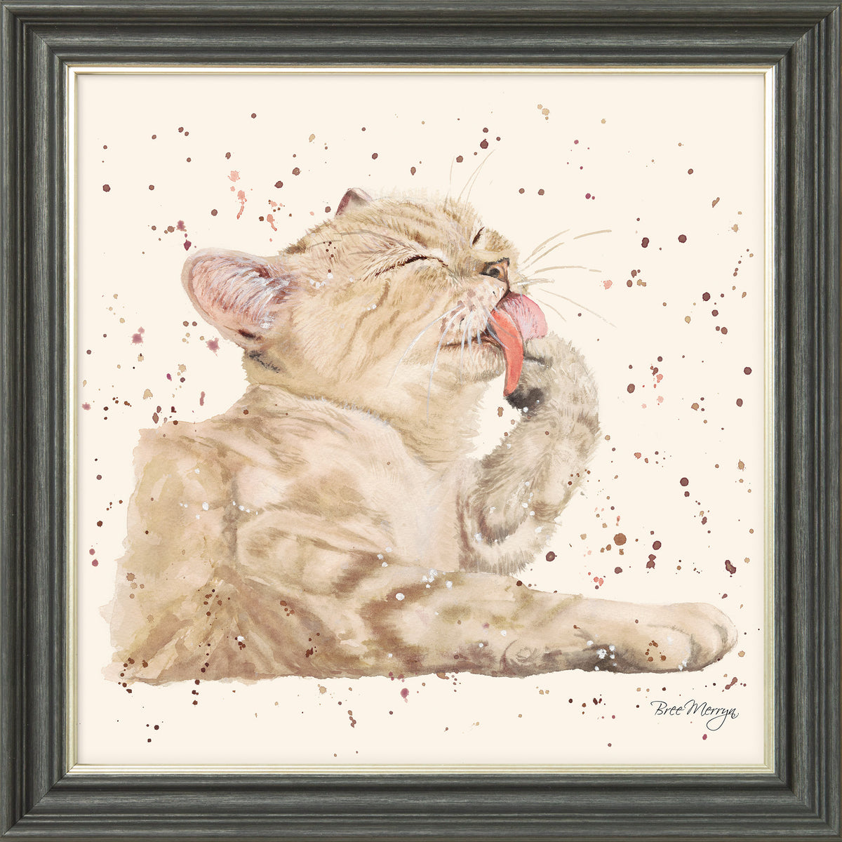 Toffee Square Framed Print – Bree Merryn Fine Art