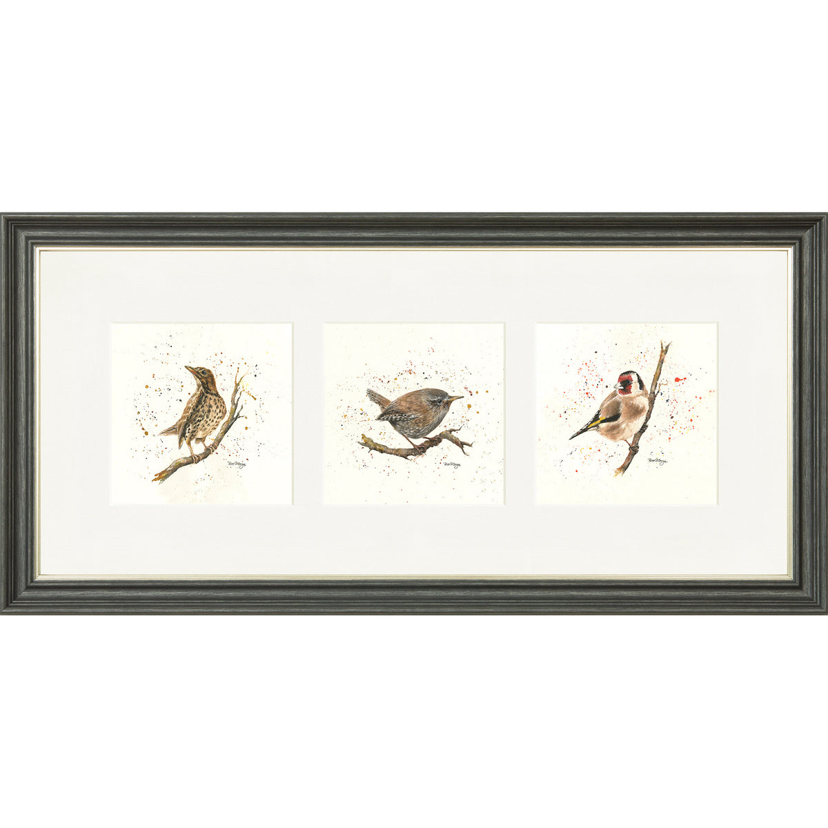 Bird Life Triptych Framed Print – Bree Merryn Fine Art